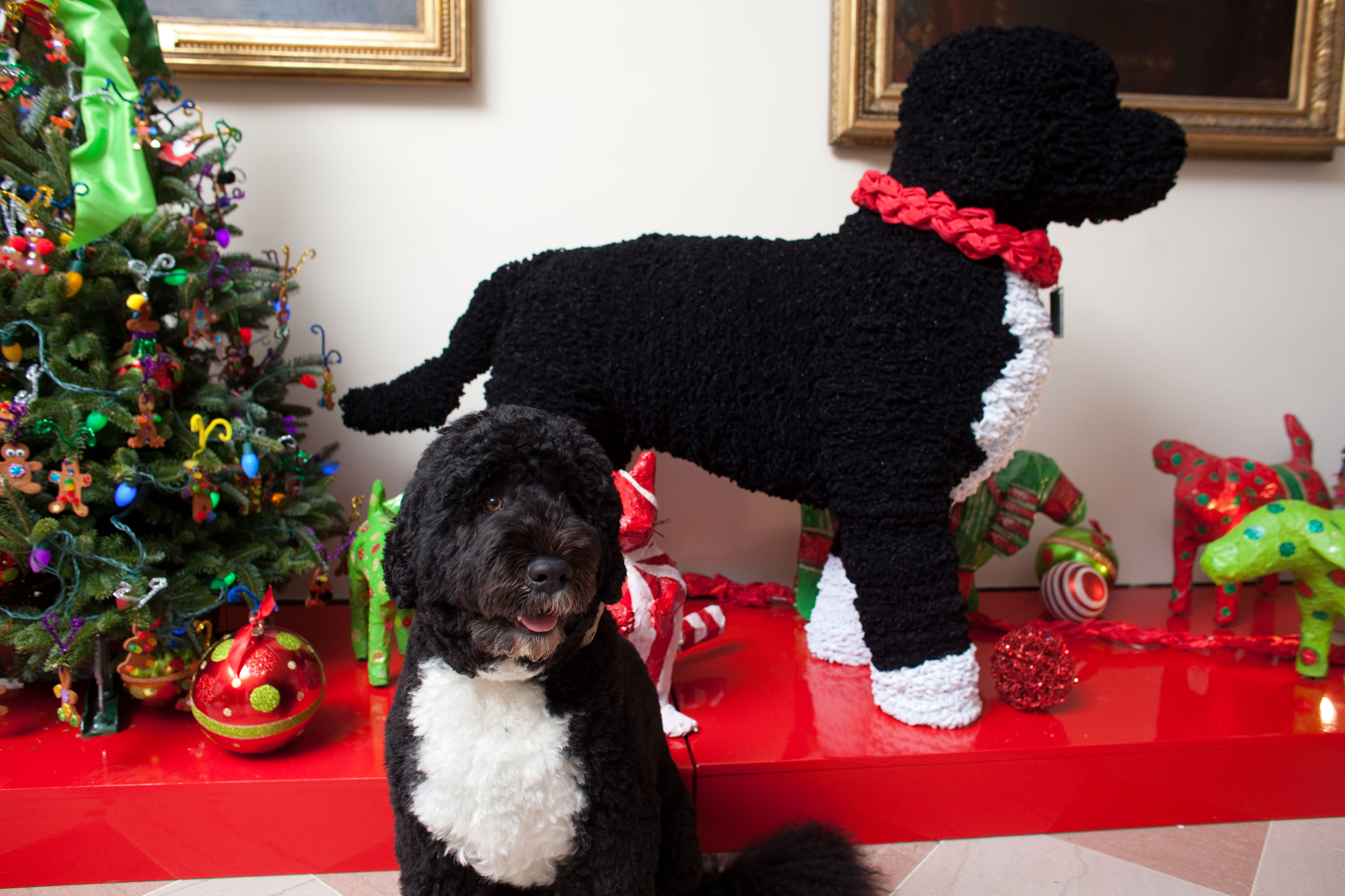 From the Archives: First Pets Celebrate the Holidays at the White House ...