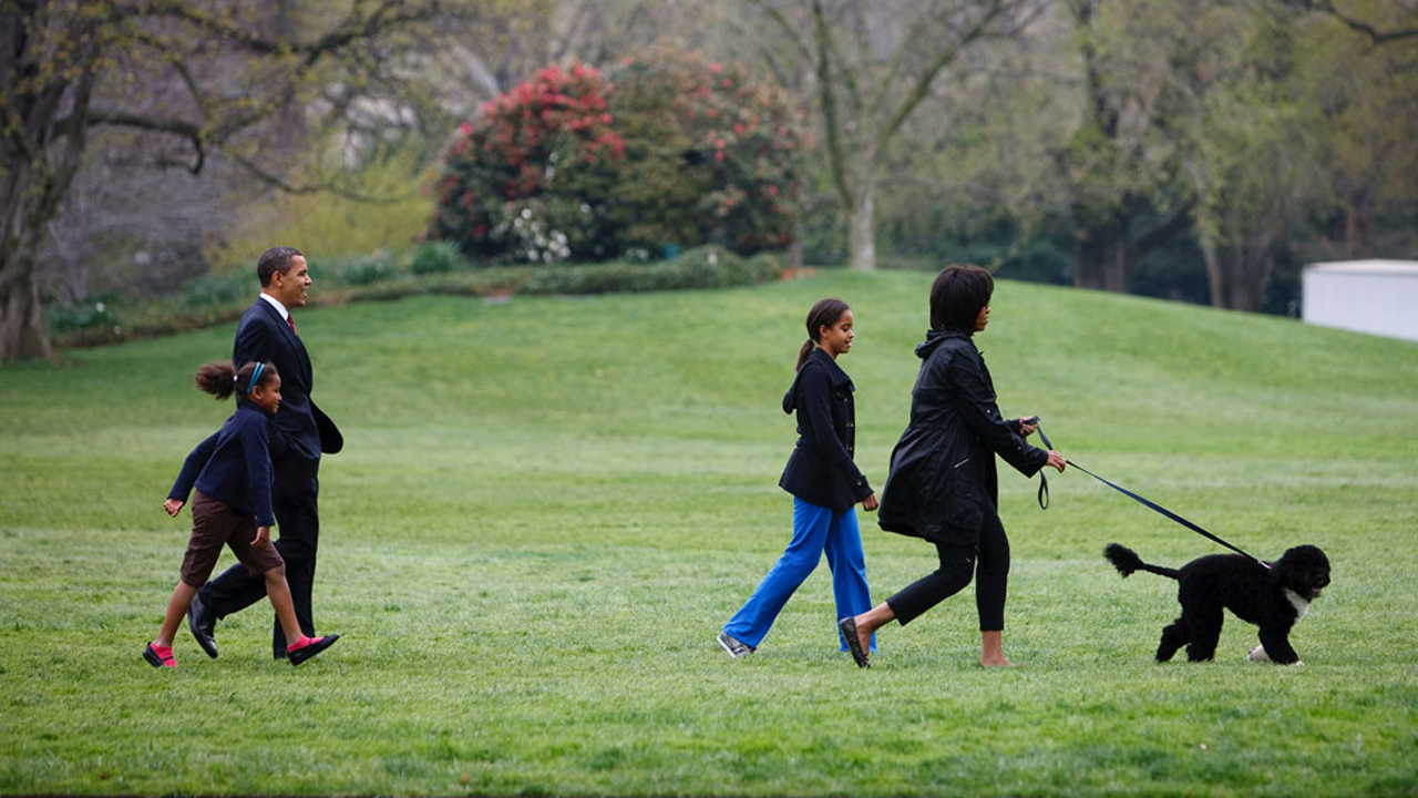 The Obamas' New Dog | The White House