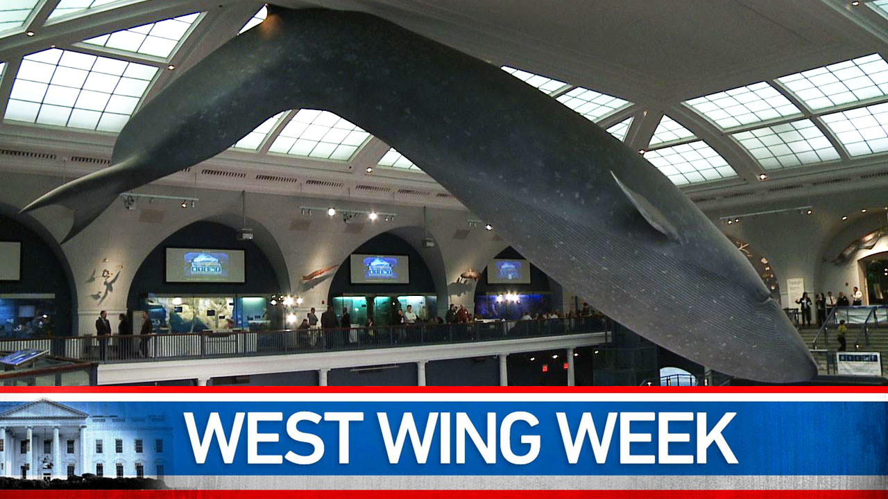 West Wing Week: "Under the Big Blue Whale" | The White House